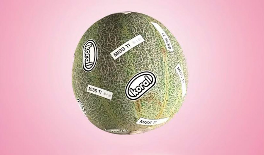Nowe lody MISS TI od Quebonafide. Melonowe lody od Korala Nowe lody MISS TI od Quebonafide. Melonowe lody od Korala